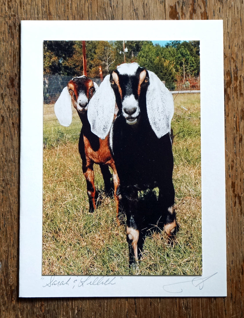 "Sarah & Lillith" - Handmade greeting card ~ Ann Woodall Studios